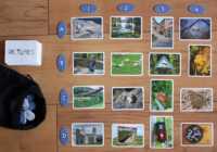 Pictures (PD-Verlag) - Review, Spielregeln zum Spiel des Jahres 2020